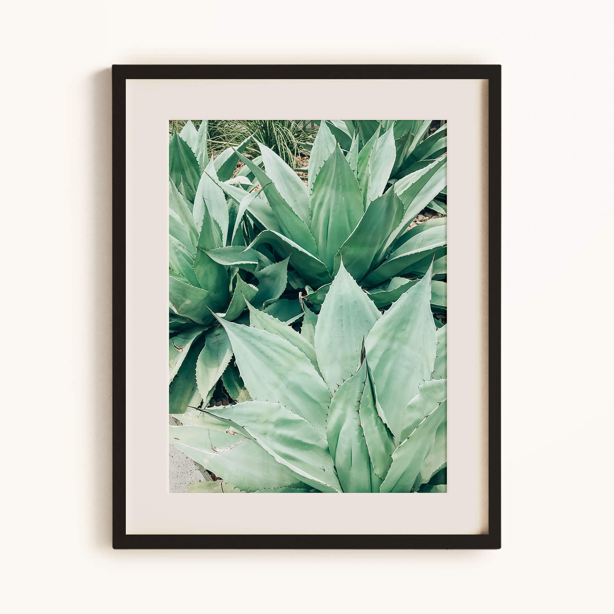 Agave Friends Print – Warwood Made